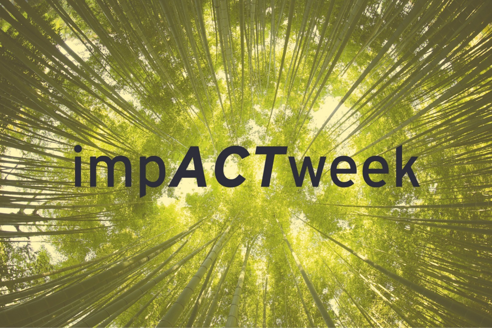 Impact week 2022 | EY - España
