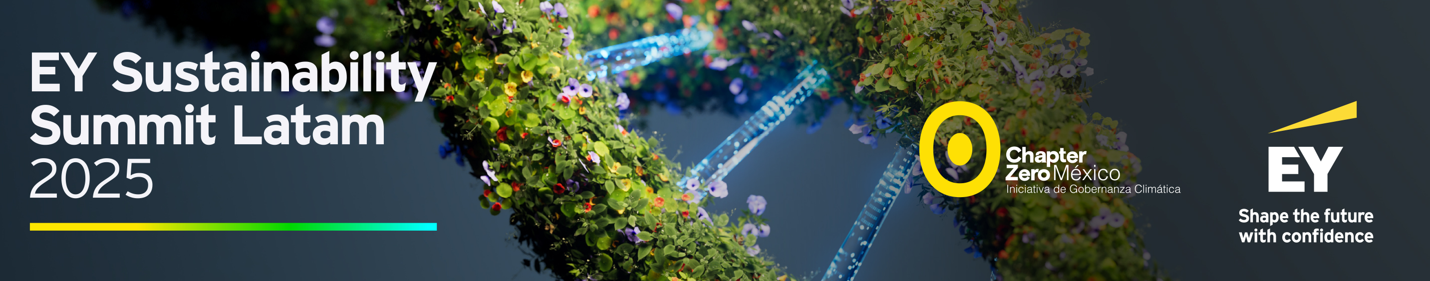 EY Sustainability Summit Latam 2025 | EY México