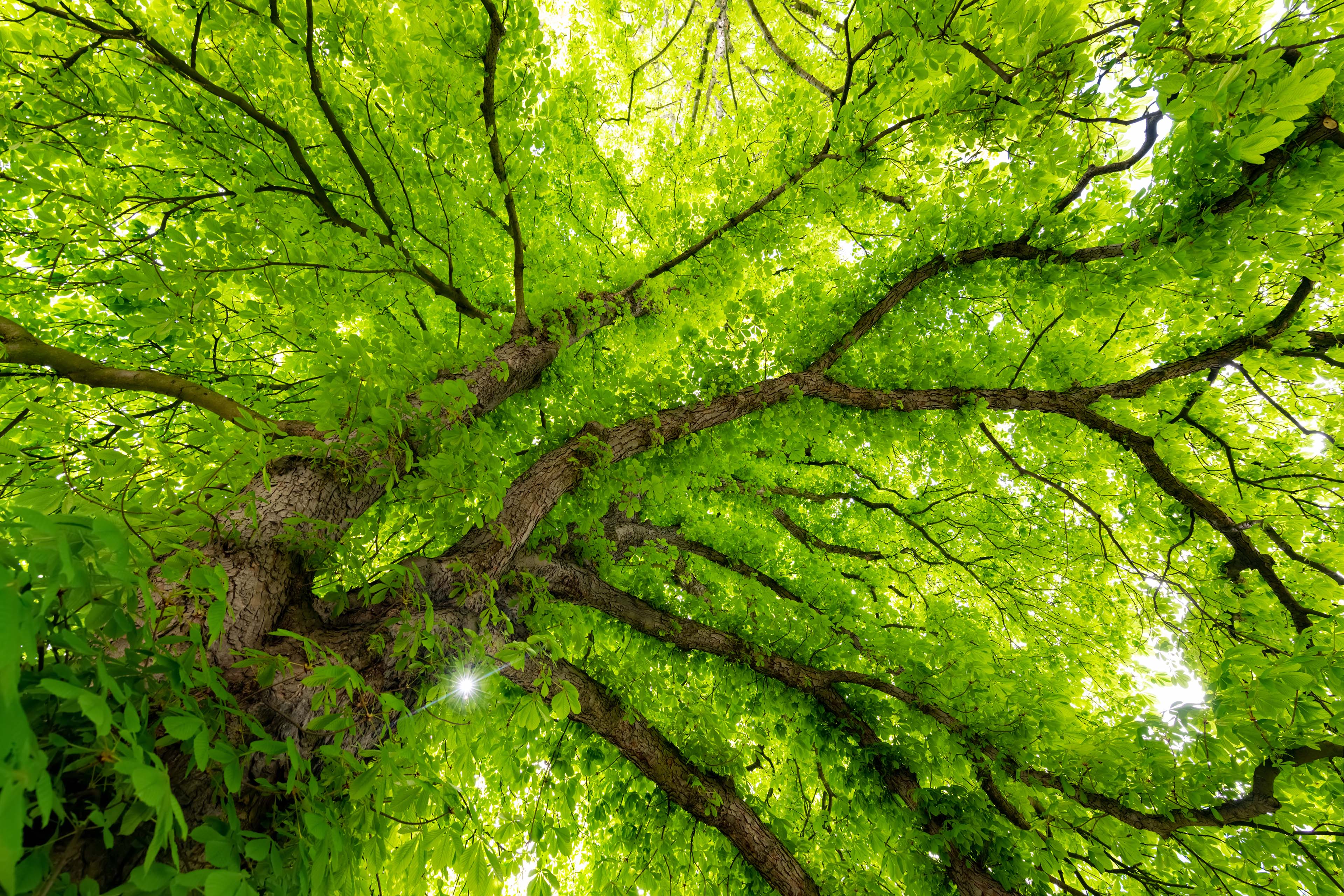 Transmission des entreprises familiales : quels sont les enjeux ...