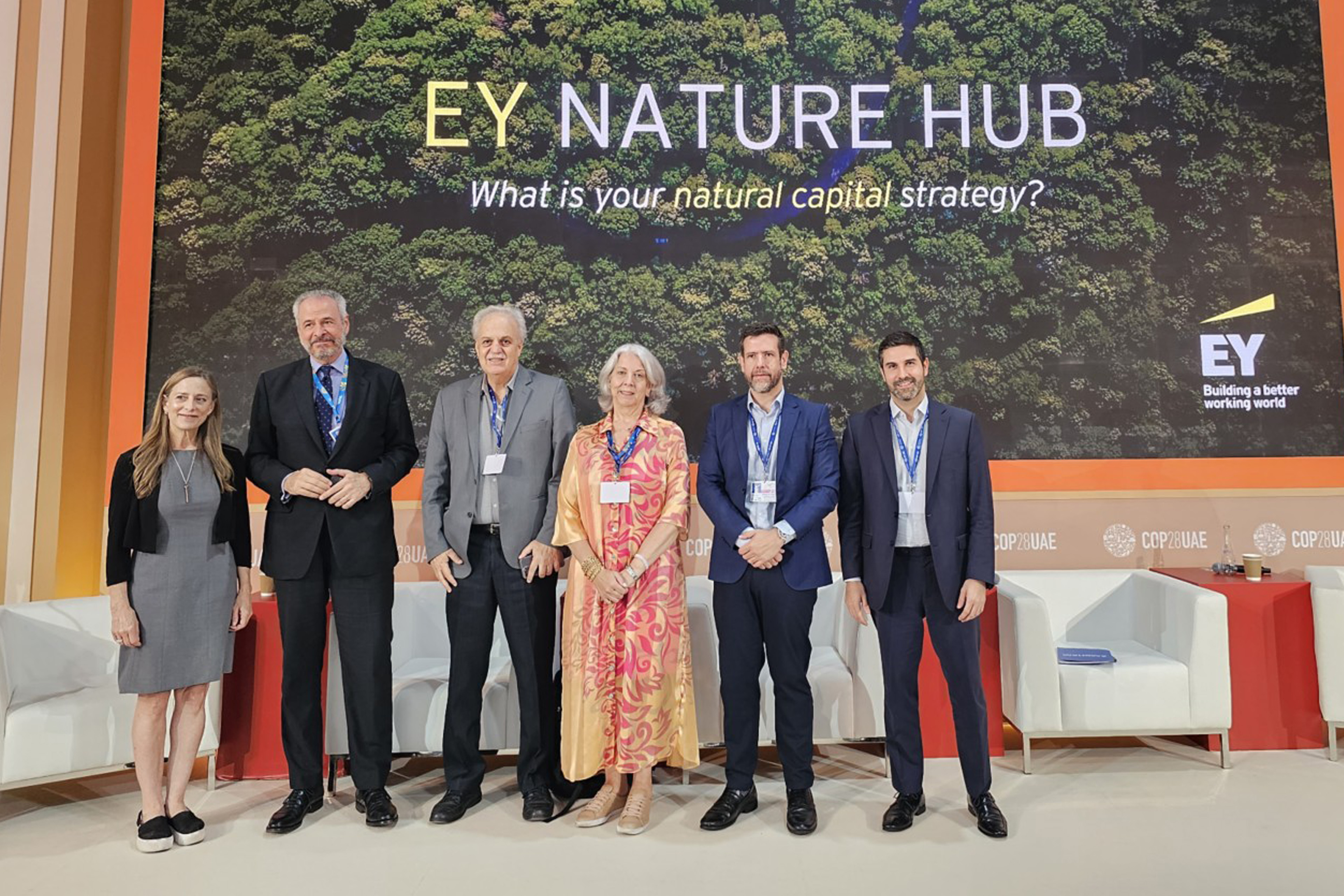 EY lança primeiro hub de natureza da América Latina na COP28 | EY ...