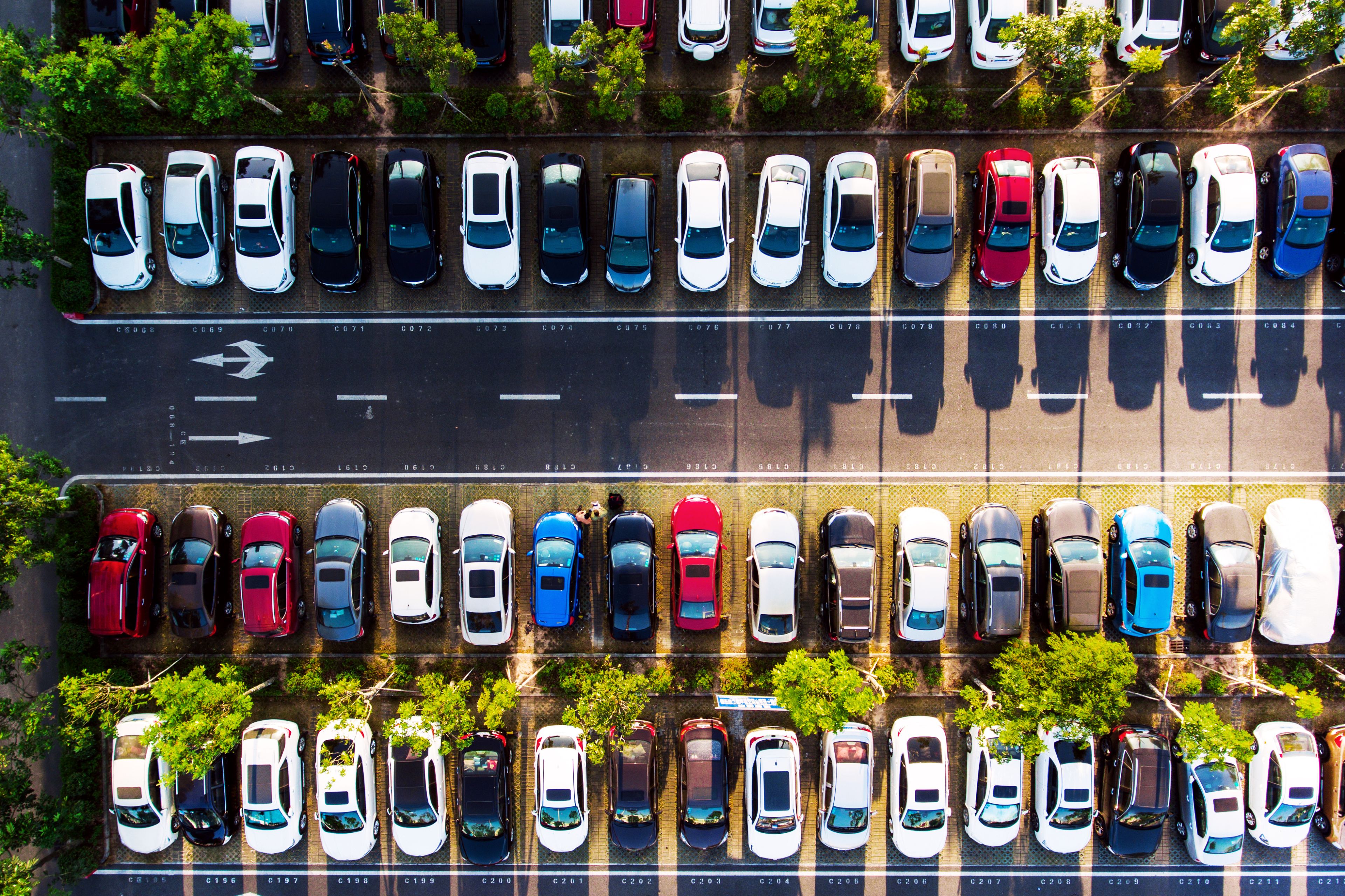 China races ahead in EV transition as Europe recalibrates and US stalls ...