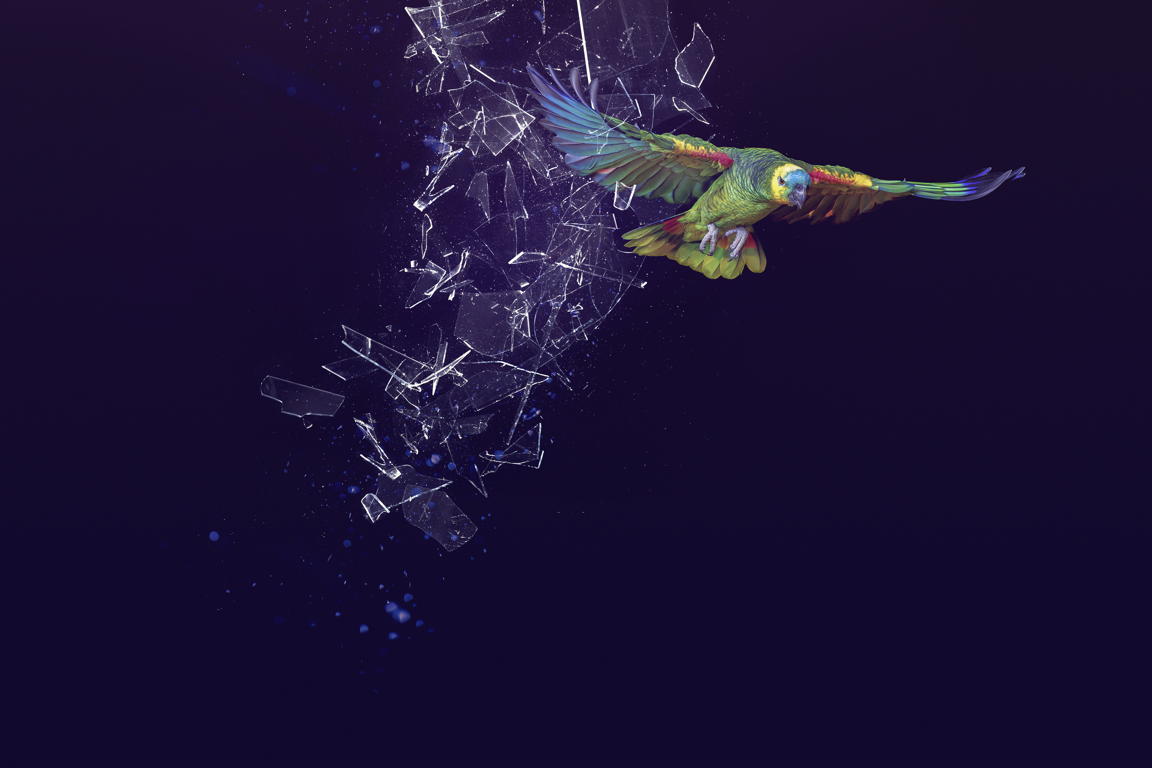 Process | EY - Sverige