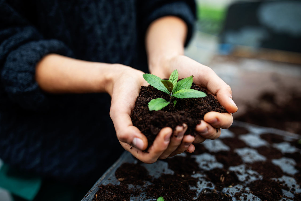 How ESG Cultivates a New Paradigm in Risk Management | EY - Switzerland